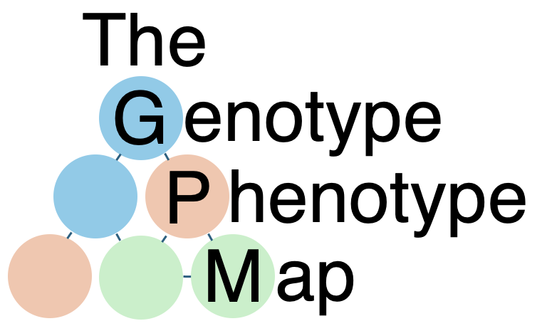 The Genotype-Phenotype Map